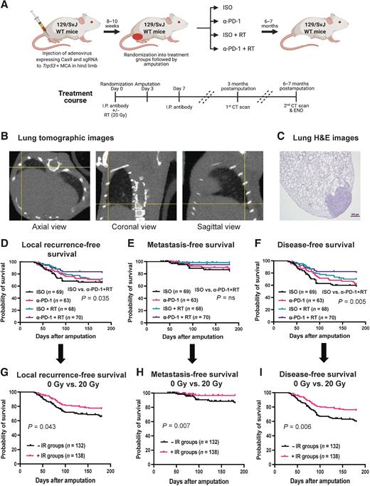 Neoadjuvant Radiation Therapy and Surgery Improves Metastasis-Free ...
