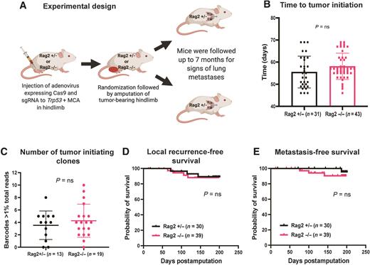 Neoadjuvant Radiation Therapy and Surgery Improves Metastasis-Free ...