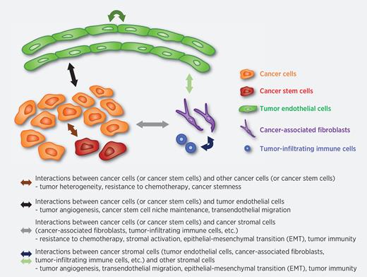 Targeting the DLL/Notch Signaling Pathway in Cancer: Challenges and ...