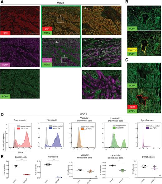Near-Infrared Photoimmunotherapy Targeting Podoplanin-Expressing Cancer ...