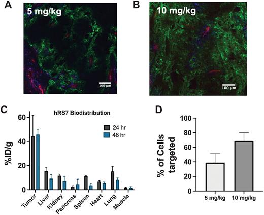 Antibody–Drug Conjugate Sacituzumab Govitecan Drives Efficient Tissue ...