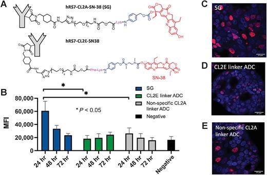 Antibody–Drug Conjugate Sacituzumab Govitecan Drives Efficient Tissue ...
