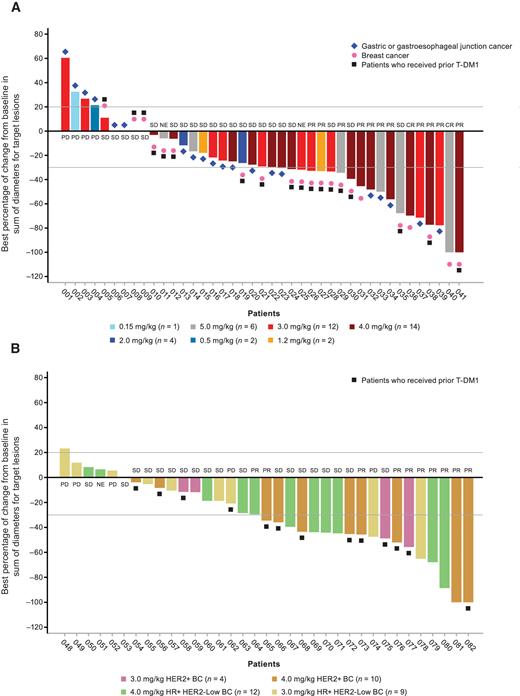 Safety and Tolerability of a Novel Anti-HER2 Antibody–Drug Conjugate ...