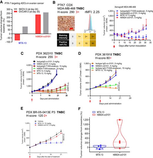 MTX-13, a Novel PTK7-Directed Antibody–Drug Conjugate with Widened ...