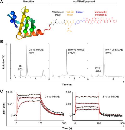 Targeted Nanofitin-drug Conjugates Achieve Efficient Tumor Delivery and ...