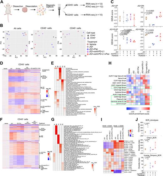 Combination Therapies to Improve the Efficacy of Immunotherapy in ...