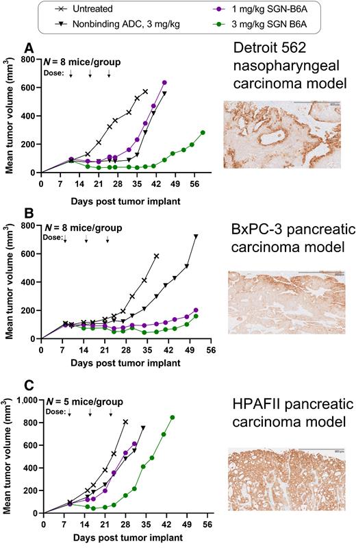 SGN-B6A: A New Vedotin Antibody–Drug Conjugate Directed to Integrin Beta-6 for Multiple ...