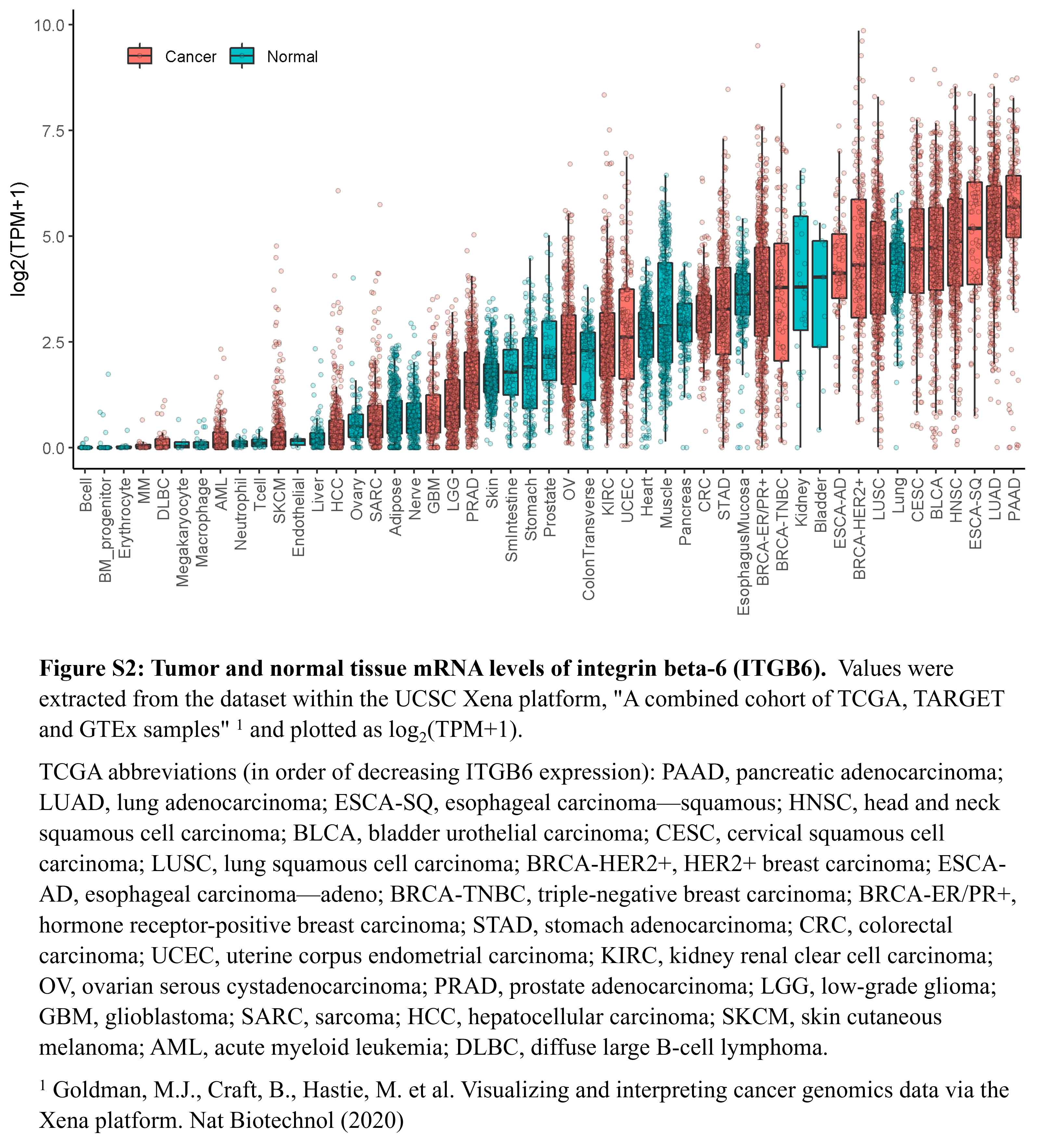 SGN-B6A: A New Vedotin Antibody–Drug Conjugate Directed to Integrin ...