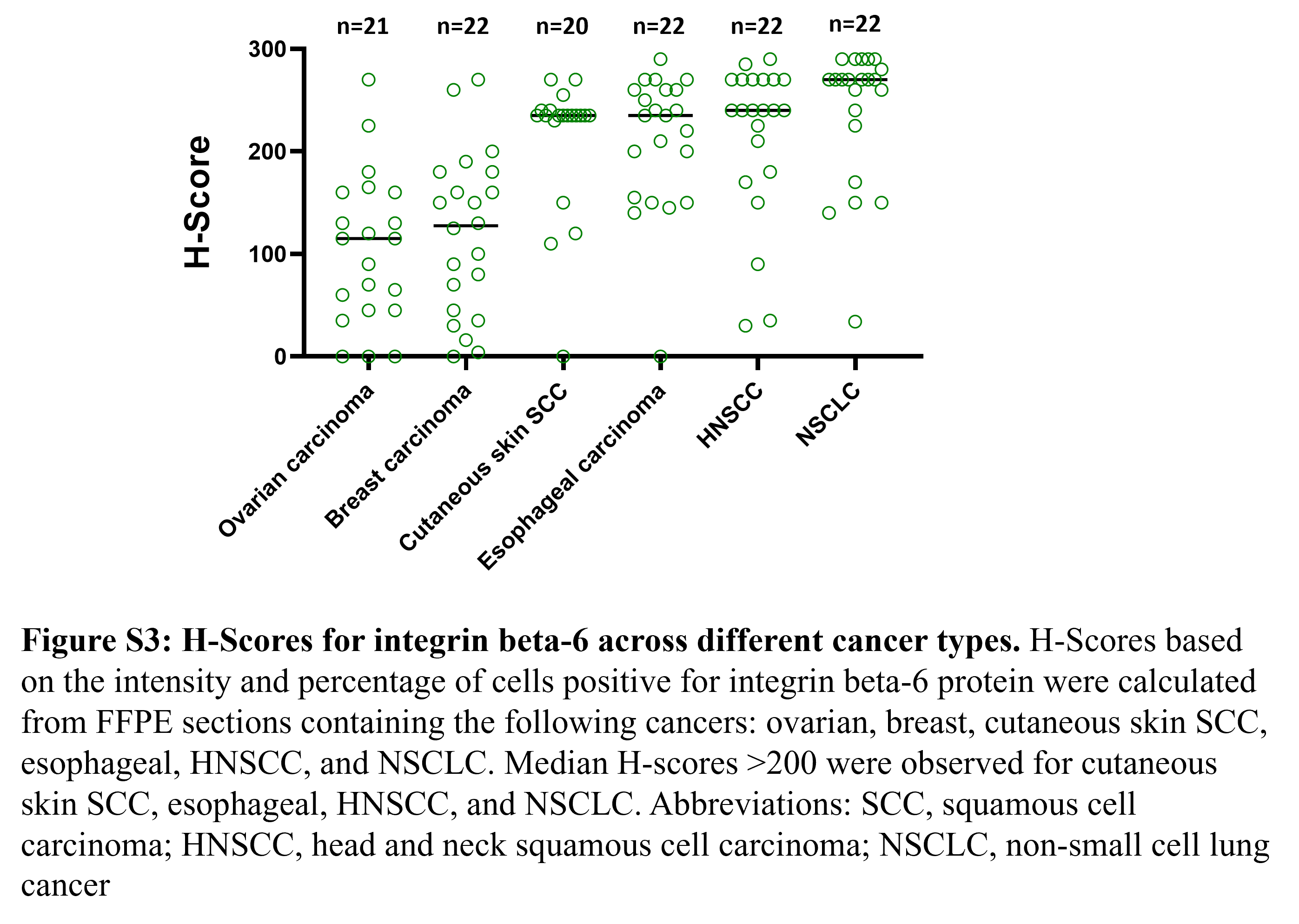 SGN-B6A: A New Vedotin Antibody–Drug Conjugate Directed to Integrin ...