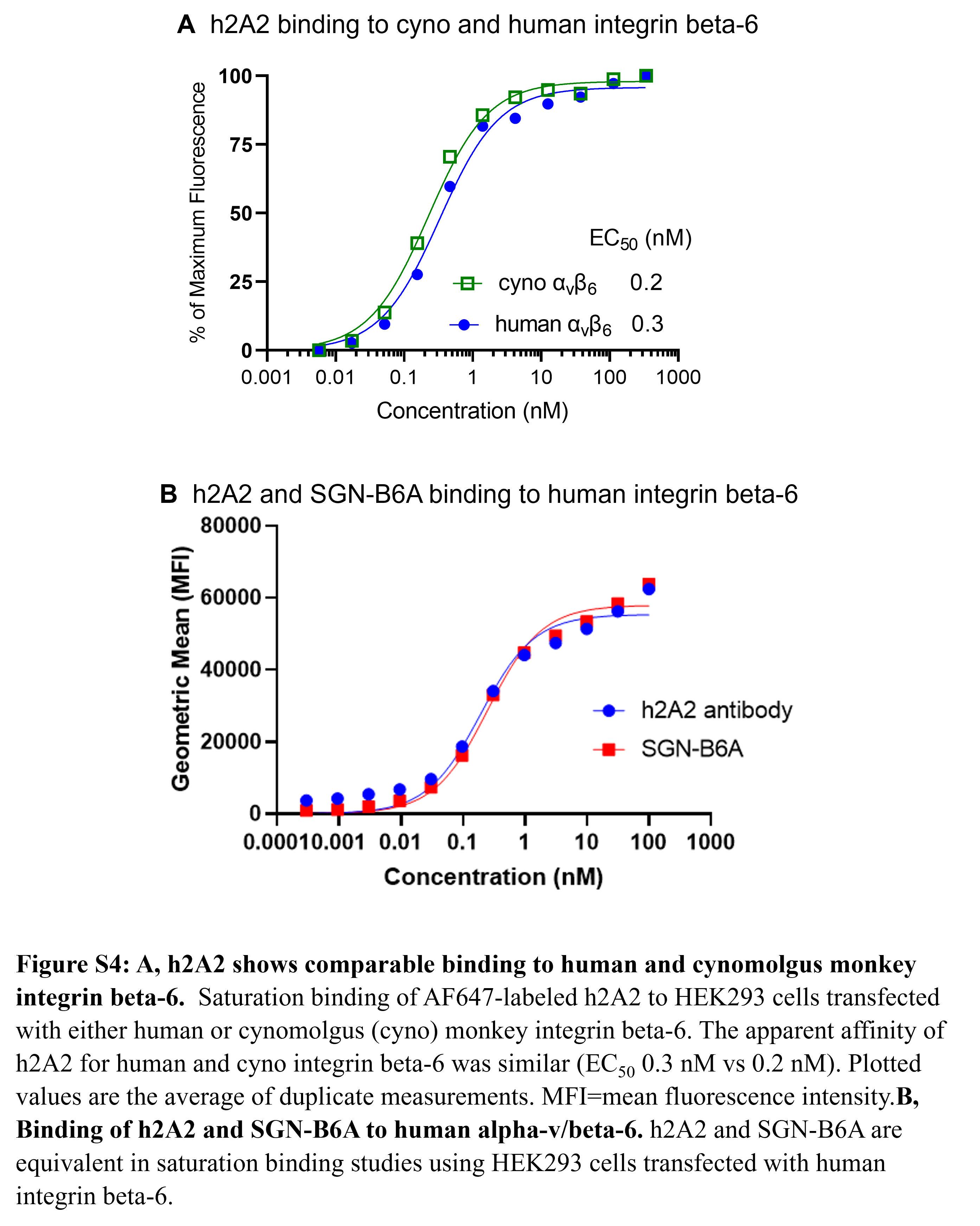 SGN-B6A: A New Vedotin Antibody–Drug Conjugate Directed to Integrin ...