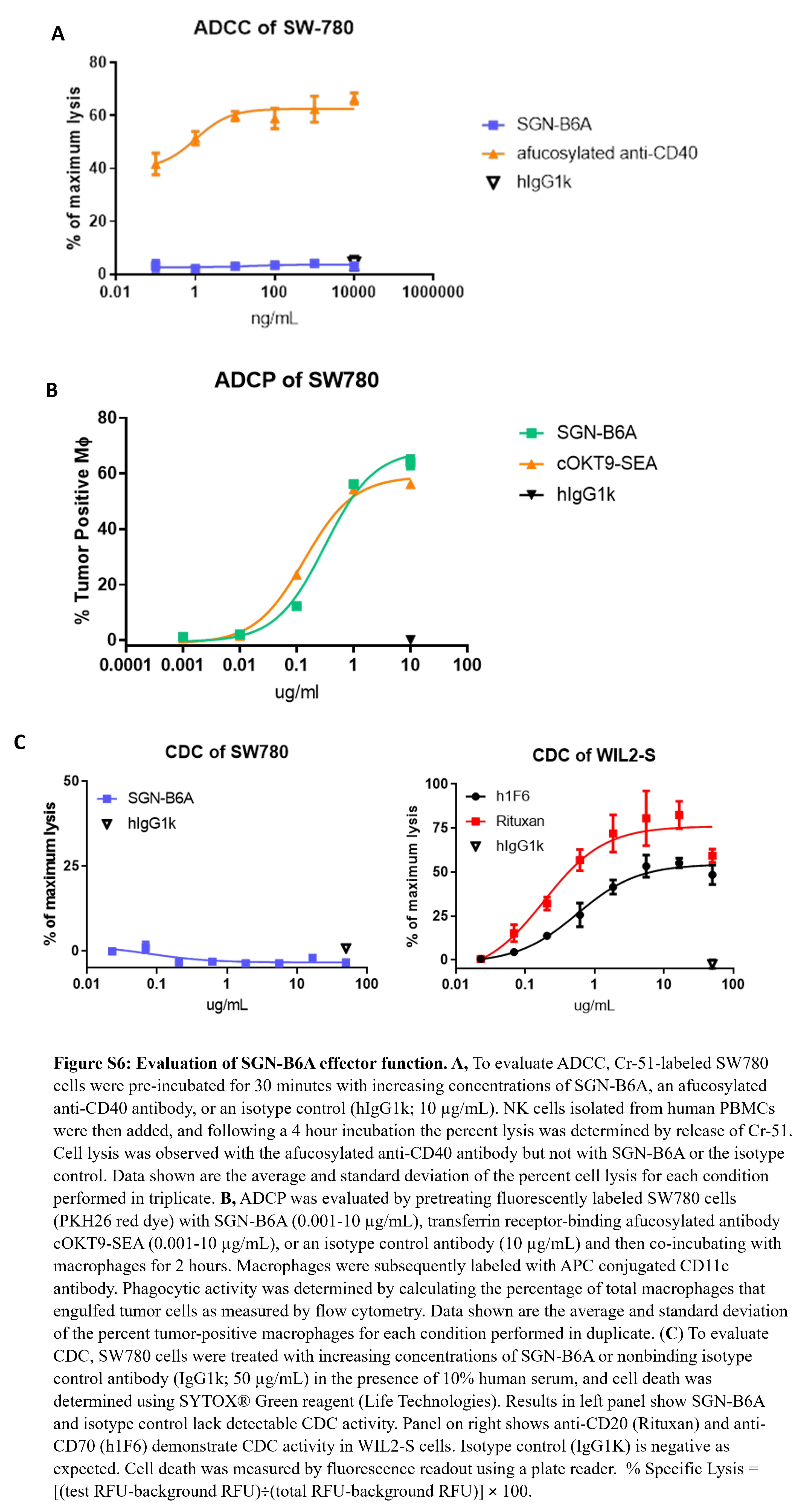 SGN-B6A: A New Vedotin Antibody–Drug Conjugate Directed to Integrin ...
