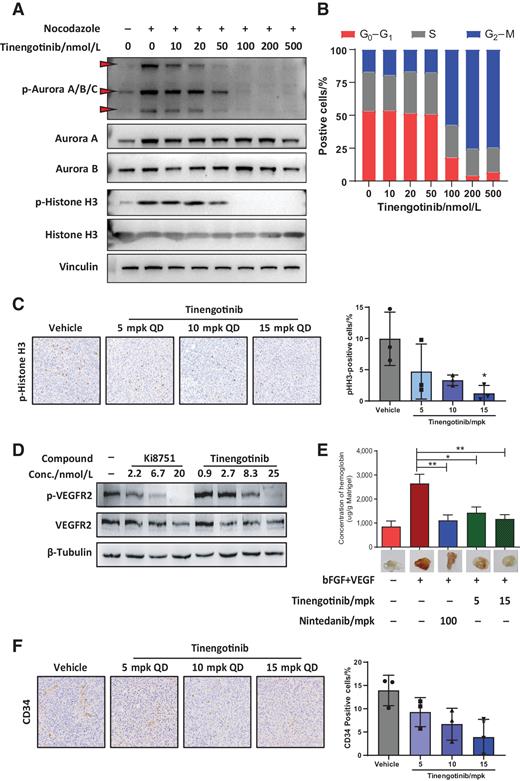 Tinengotinib (TT-00420), a Novel Spectrum-Selective Small-Molecule ...