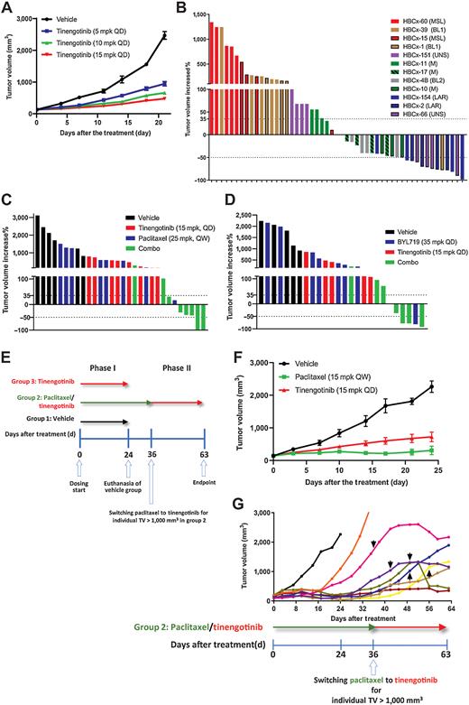 Tinengotinib (TT-00420), a Novel Spectrum-Selective Small-Molecule ...