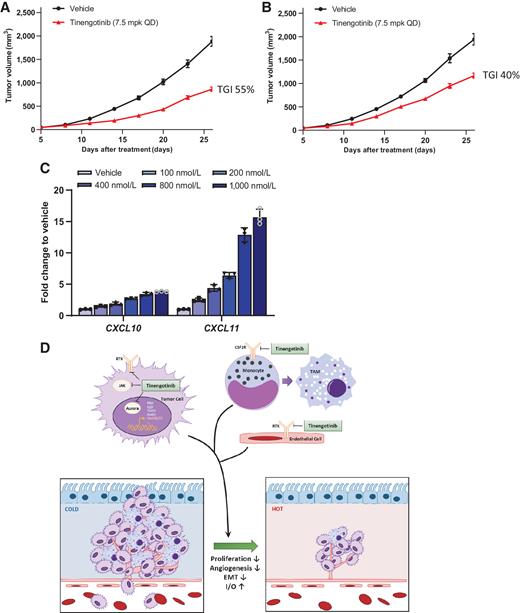 Tinengotinib (TT-00420), a Novel Spectrum-Selective Small-Molecule ...