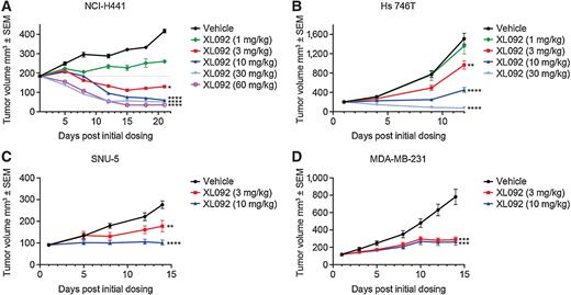 Preclinical Characterization of XL092, a Novel Receptor Tyrosine Kinase ...