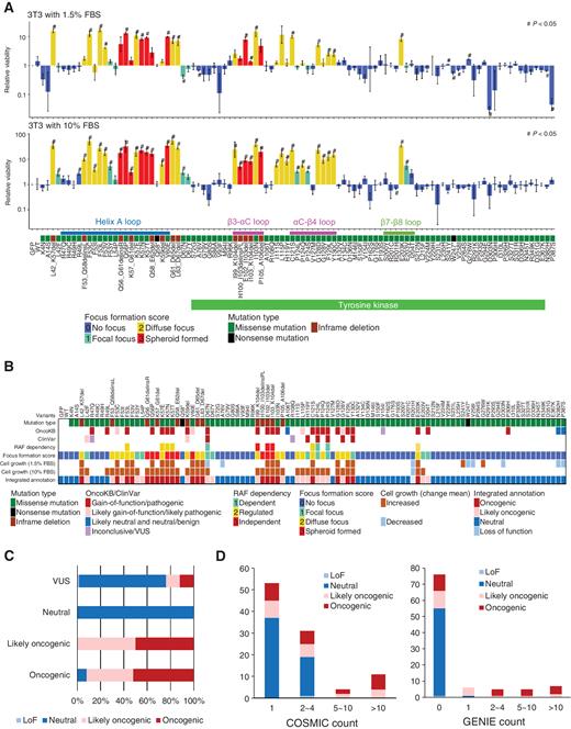 High-Throughput Functional Evaluation of MAP2K1 Variants in Cancer ...