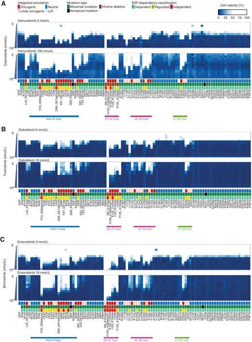 High-Throughput Functional Evaluation of MAP2K1 Variants in Cancer ...