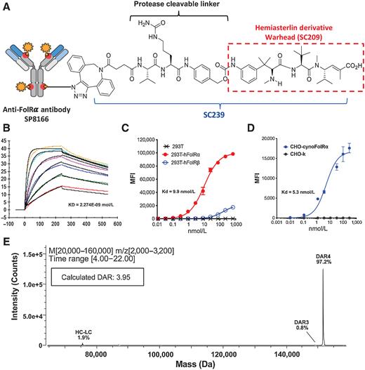 Discovery of STRO-002, a Novel Homogeneous ADC Targeting Folate ...