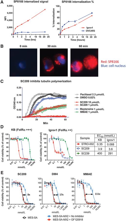 Discovery of STRO-002, a Novel Homogeneous ADC Targeting Folate ...