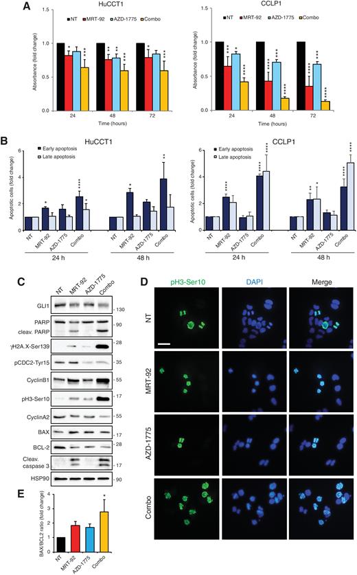 Combined Inhibition of Smoothened and the DNA Damage Checkpoint WEE1 ...