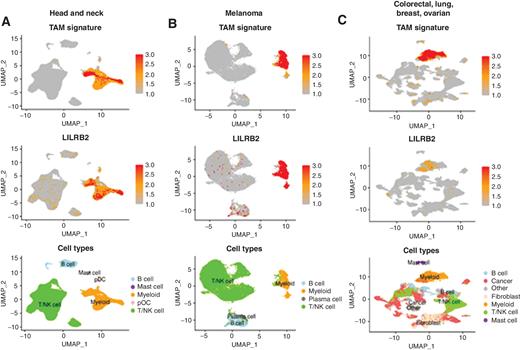 Inhibition of LILRB2 by a Novel Blocking Antibody Designed to Reprogram ...