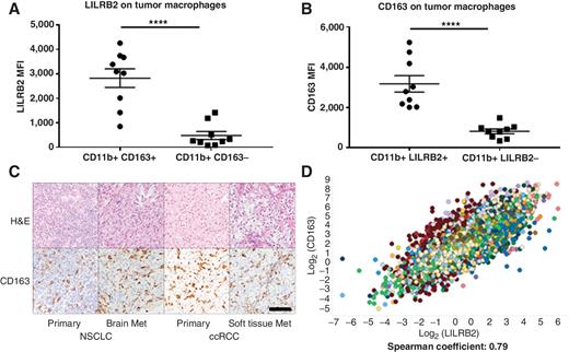 Inhibition of LILRB2 by a Novel Blocking Antibody Designed to Reprogram ...