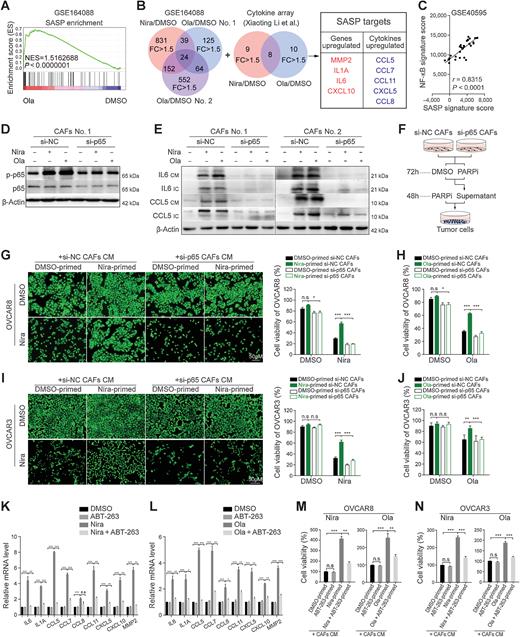 Bepotastine Sensitizes Ovarian Cancer to PARP Inhibitors through ...