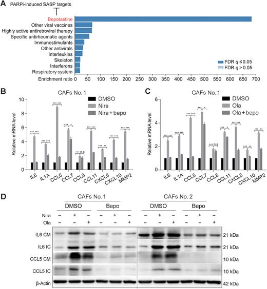 Bepotastine Sensitizes Ovarian Cancer to PARP Inhibitors through ...