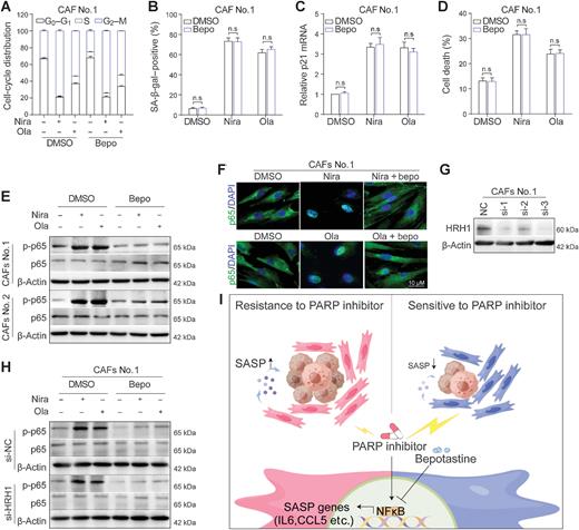 Bepotastine Sensitizes Ovarian Cancer to PARP Inhibitors through ...
