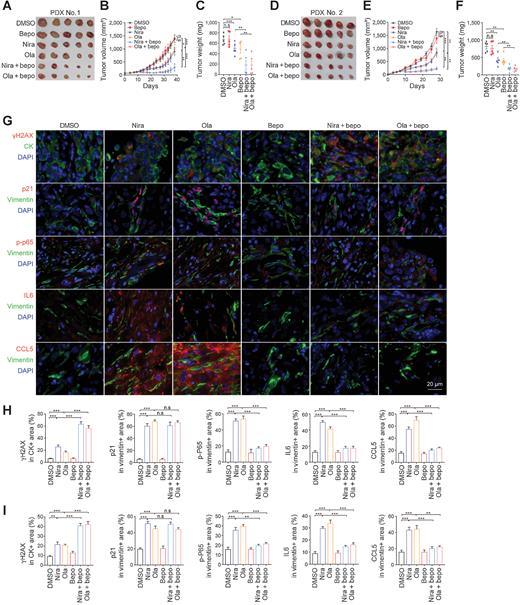Bepotastine Sensitizes Ovarian Cancer to PARP Inhibitors through ...