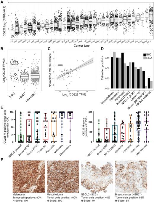 SGN-CD228A Is an Investigational CD228-Directed Antibody–Drug Conjugate ...