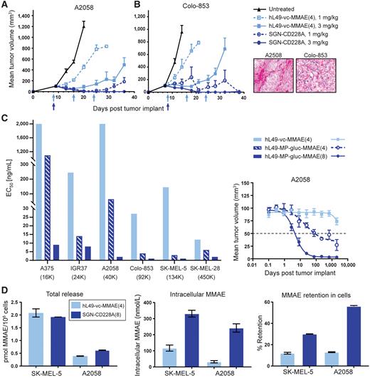 SGN-CD228A Is an Investigational CD228-Directed Antibody–Drug Conjugate ...