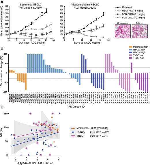 SGN-CD228A Is an Investigational CD228-Directed Antibody–Drug Conjugate ...
