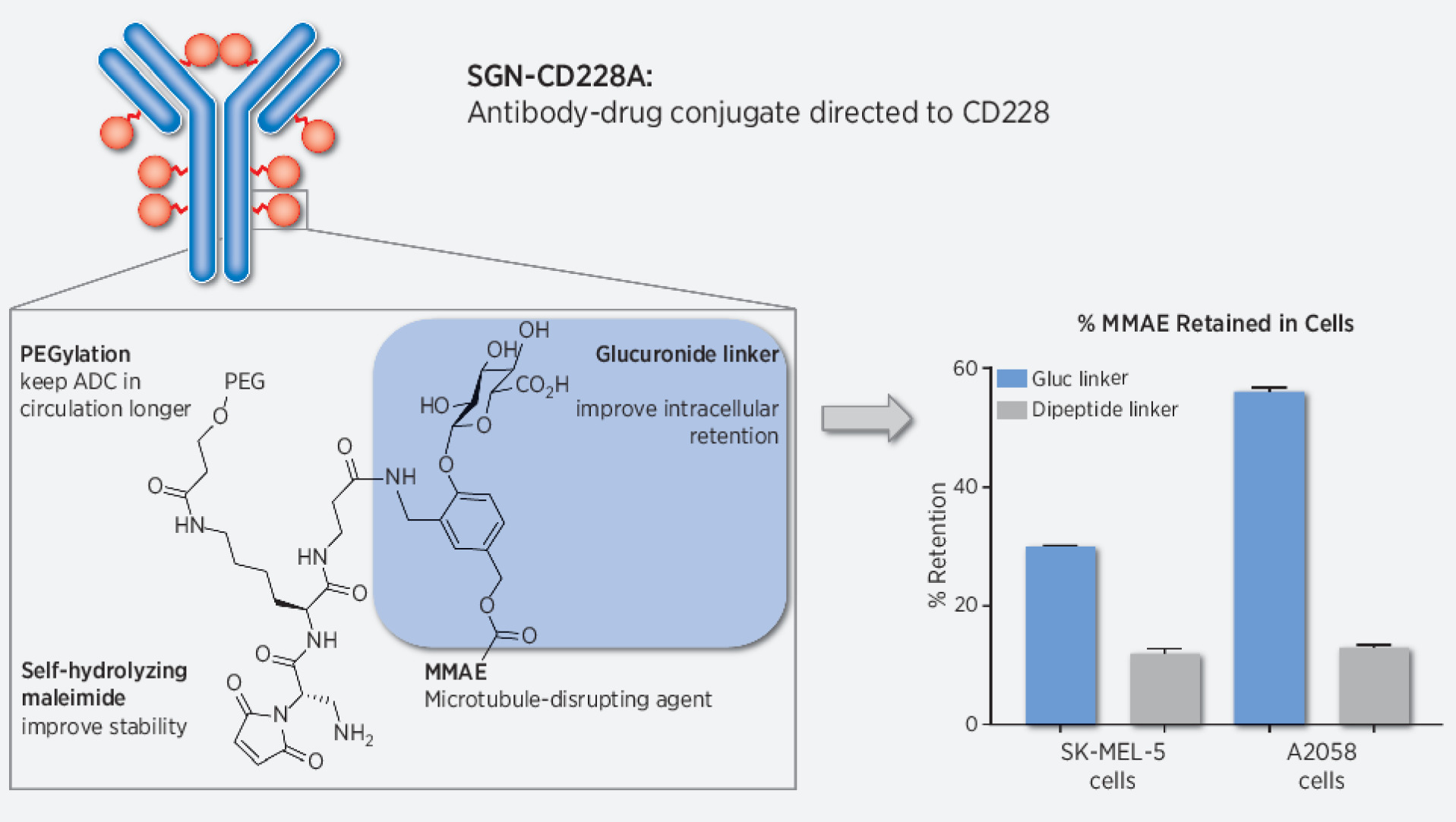 SGN-CD228A Is an Investigational CD228-Directed Antibody–Drug Conjugate ...