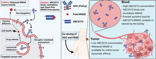 Payload-Binding Fab Fragments Increase the Therapeutic Index of MMAE ...