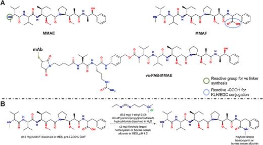 Payload-Binding Fab Fragments Increase the Therapeutic Index of MMAE ...