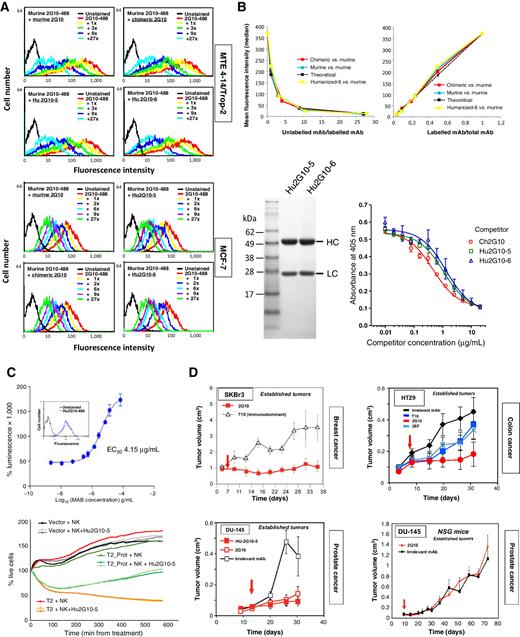 3D-Informed Targeting of the Trop-2 Signal-Activation Site Drives ...