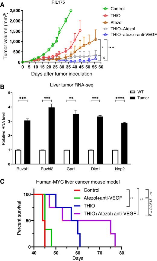 Activating an Adaptive Immune Response with a Telomerase-Mediated ...