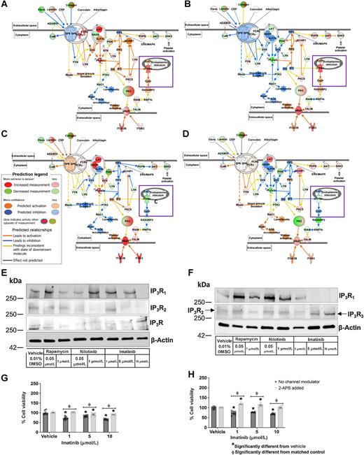 Tyrosine Kinase Inhibitors Diminish Renal Neoplasms in a Tuberous ...