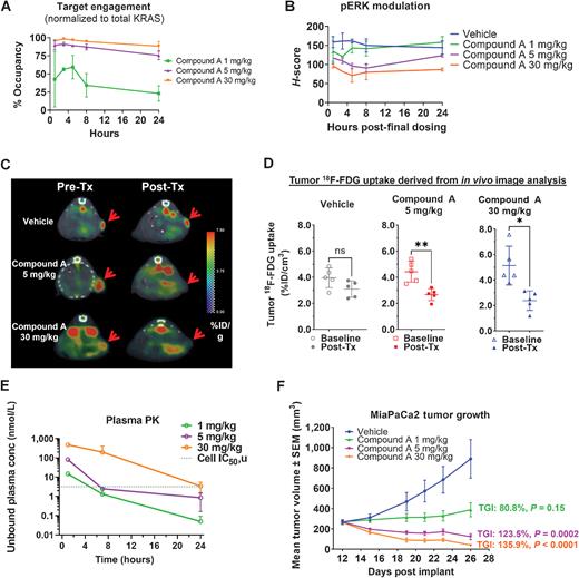 Efficacy and Imaging-Enabled Pharmacodynamic Profiling of KRAS G12C ...
