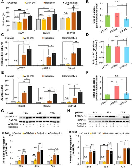APR-246 Enhances Colorectal Cancer Sensitivity to Radiotherapy ...