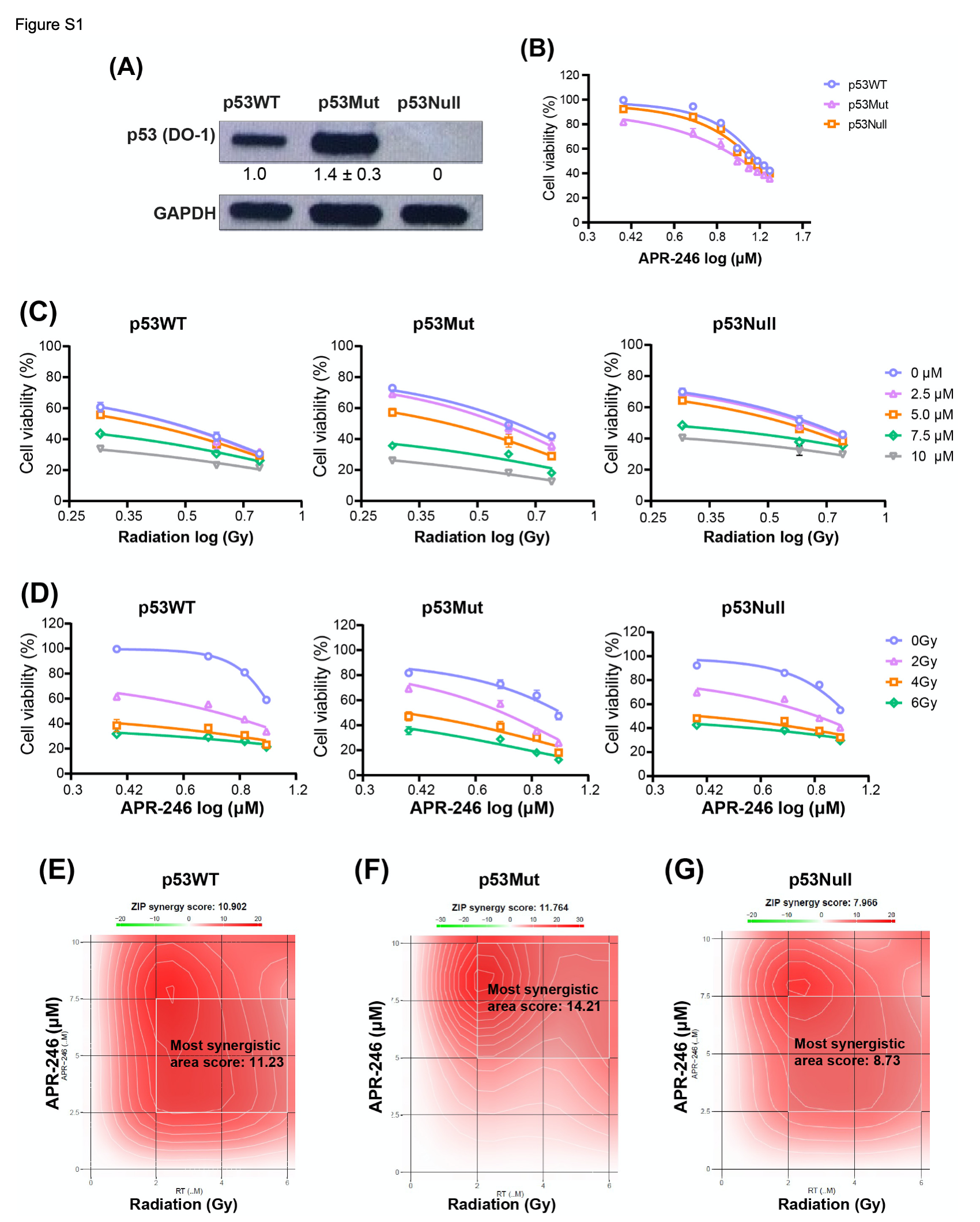 APR-246 Enhances Colorectal Cancer Sensitivity to Radiotherapy ...