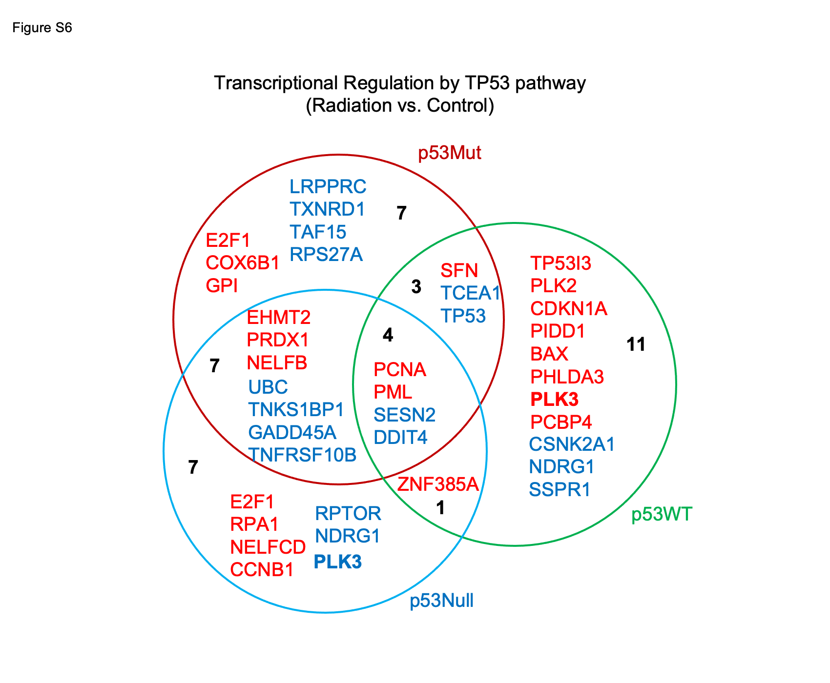 APR-246 Enhances Colorectal Cancer Sensitivity to Radiotherapy ...
