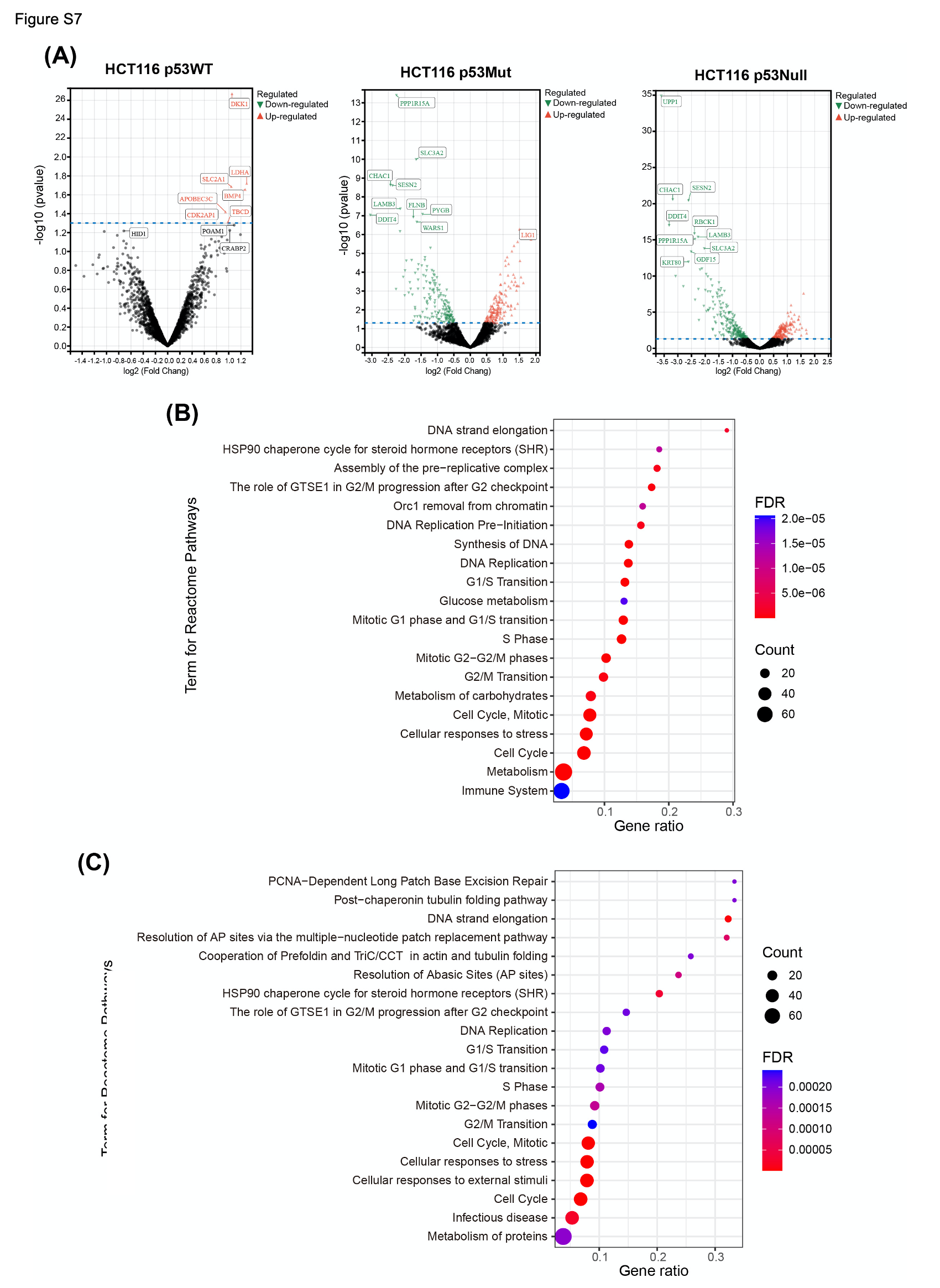 APR-246 Enhances Colorectal Cancer Sensitivity to Radiotherapy ...