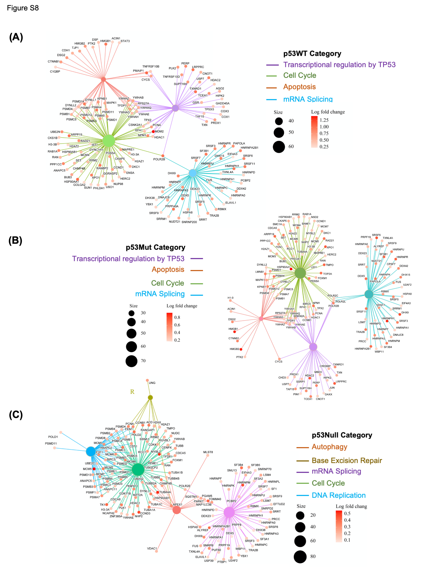 APR-246 Enhances Colorectal Cancer Sensitivity to Radiotherapy ...