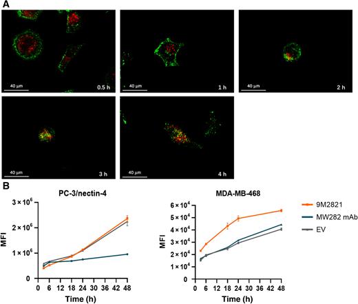 Preclinical Evaluation of 9MW2821, a Site-Specific Monomethyl ...