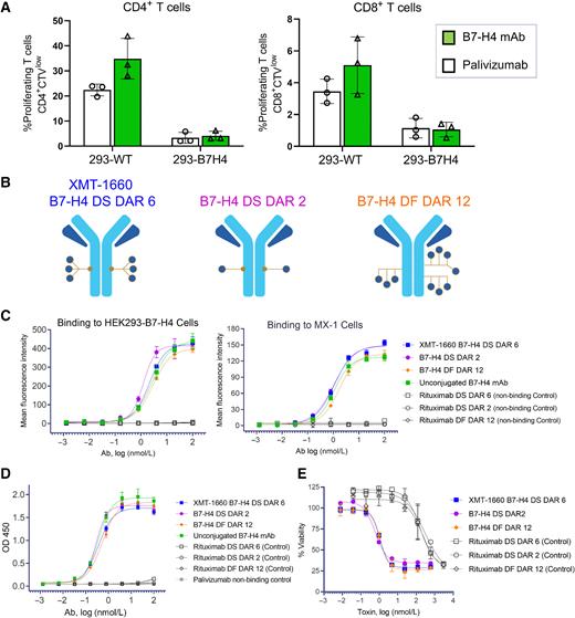 Discovery and Preclinical Characterization of XMT-1660, an Optimized B7 ...