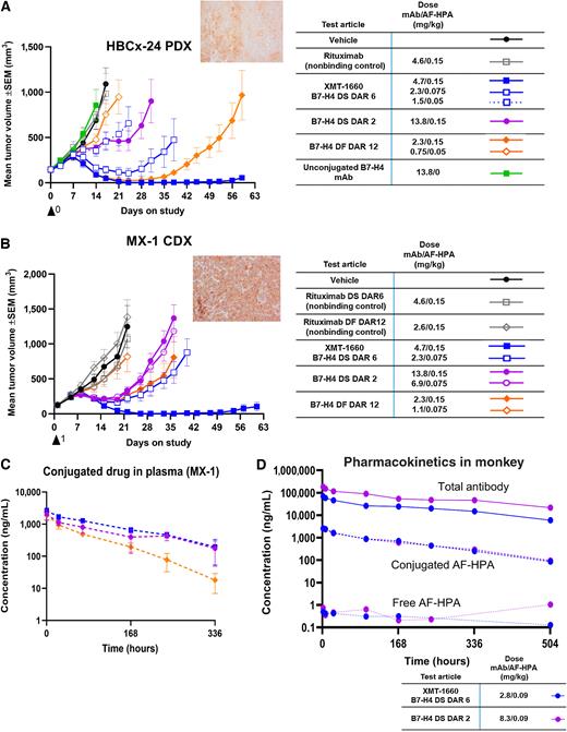 Discovery and Preclinical Characterization of XMT-1660, an Optimized B7-H4-Targeted Antibody ...