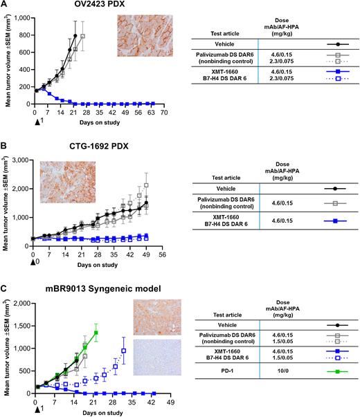 Discovery and Preclinical Characterization of XMT-1660, an Optimized B7 ...