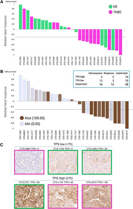 Discovery and Preclinical Characterization of XMT-1660, an Optimized B7 ...